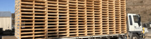 Customised Timber Pallets In Adelaide | Palletco SA